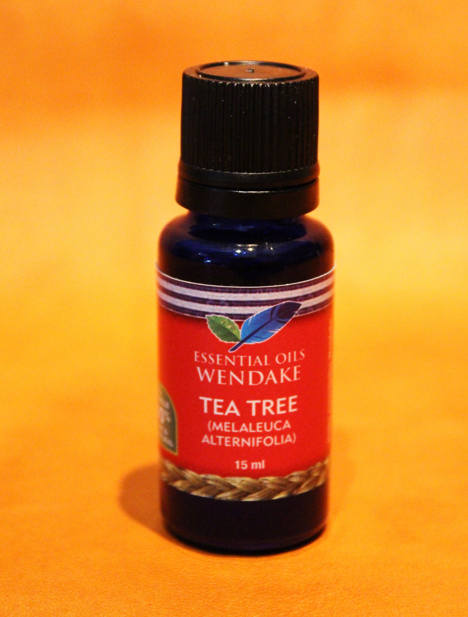 Tea Tree (Melaleuca Alternifolia, Tea Tree) – Terre de l'Aigle - Earth ...